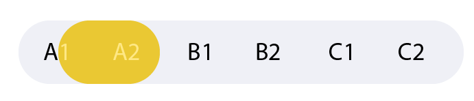 Prep for Life: Communicative Course
